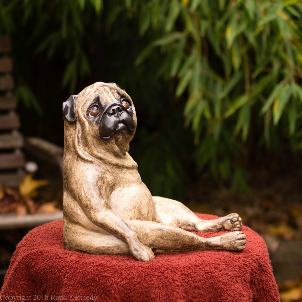 fawn pug bookends (1 of 13) – Raud Kennedy